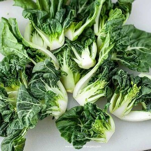 Extra Dwarf Bok Choy Seeds – 500 Seeds - 30 Day Harvest, Container ...