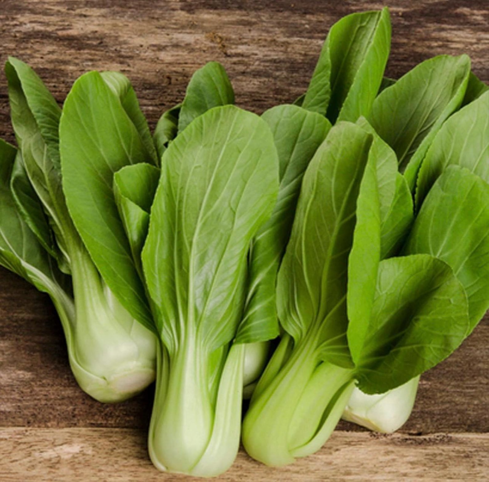Bok Choy Dwarf White Stem- 500 Seeds - - Fast 40 Day Harvest ...