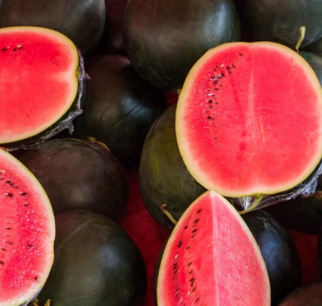 Watermelon 'black Diamond' Seeds - Rare Dark Green Watermelon - Large ...