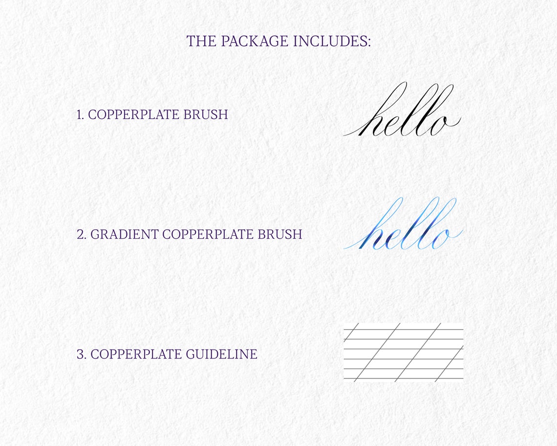 Procreate Calligraphy Brush Business Cursive Copperplate - Etsy