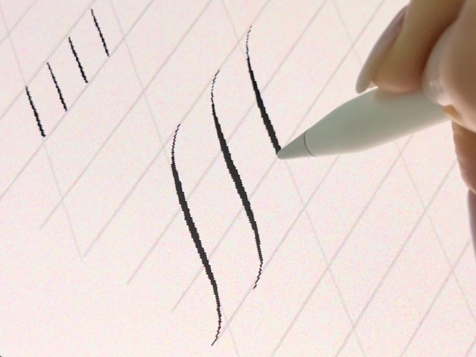 Procreate Calligraphy Brush Business Cursive Copperplate - Etsy