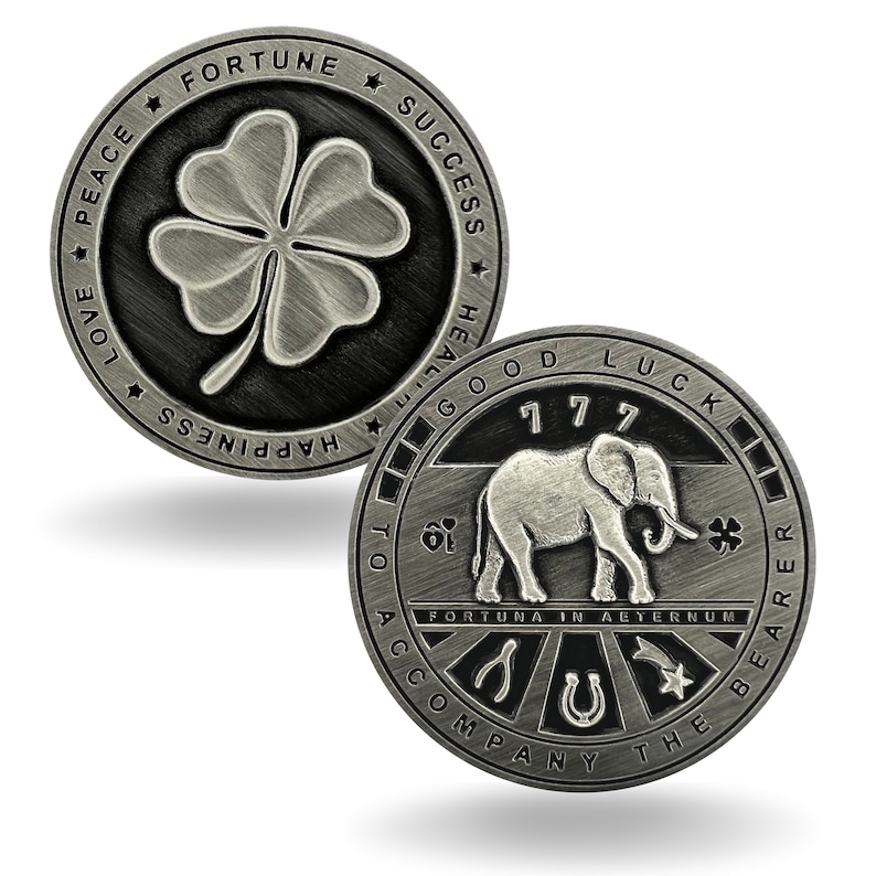 Luck Lab Lucky Coin - Etsy