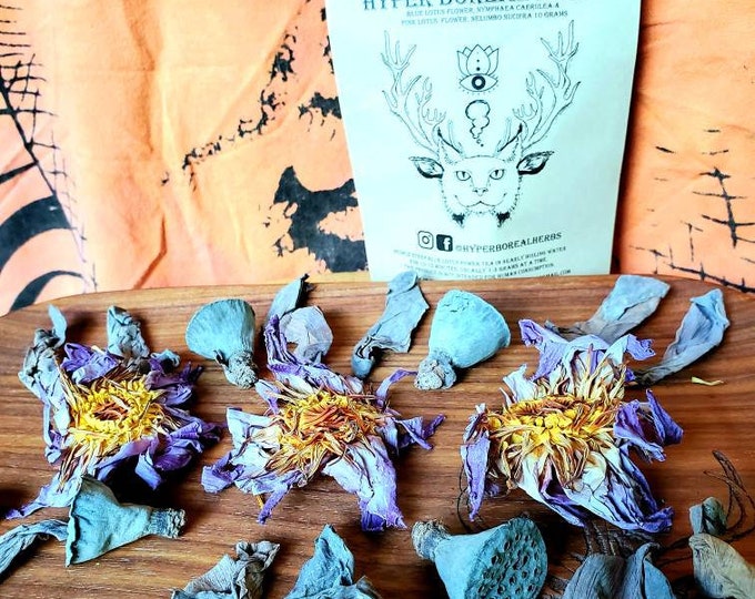 Organic Loose Leaf Lucid Dream Tea Organic Dried Herb | Etsy