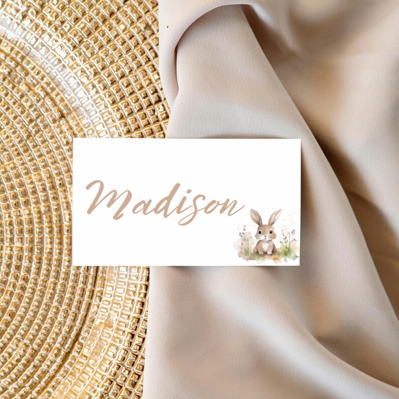 Easter Place Cards, Bunny Place Cards, Easter Name Cards, Rabbit Place Cards, Easter Name Tags ...