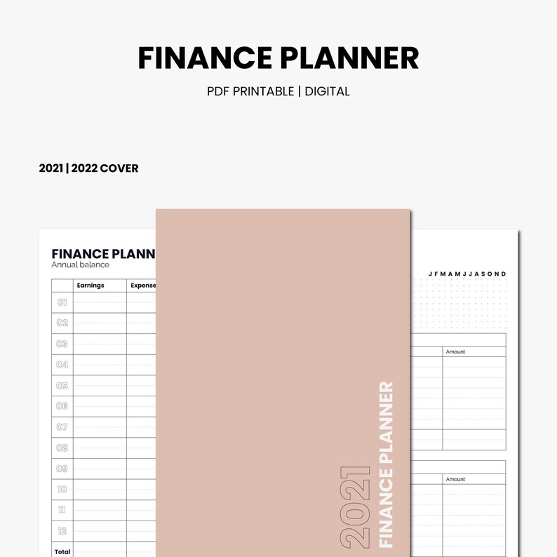Finance Planner Printable, Finance Digital Planner, Annual Balance ...