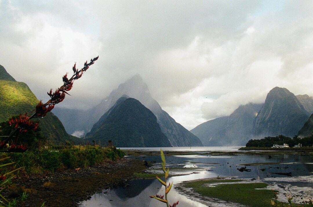 Stroll Through the Fiord; 35mm Film Print - Etsy