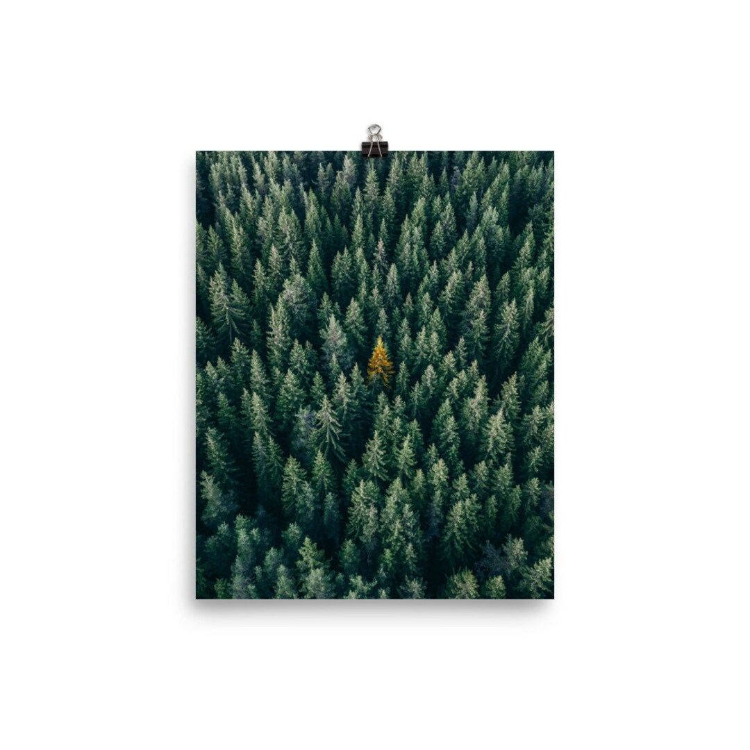 Lonely Tree Poster - Etsy
