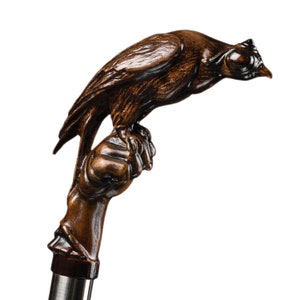 Falconry Walking Cane Fancy Hand Carved Cane, Best Canes for Seniors - Etsy