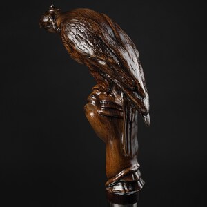Falconry Walking Cane Fancy Hand Carved Cane, Best Canes for Seniors - Etsy