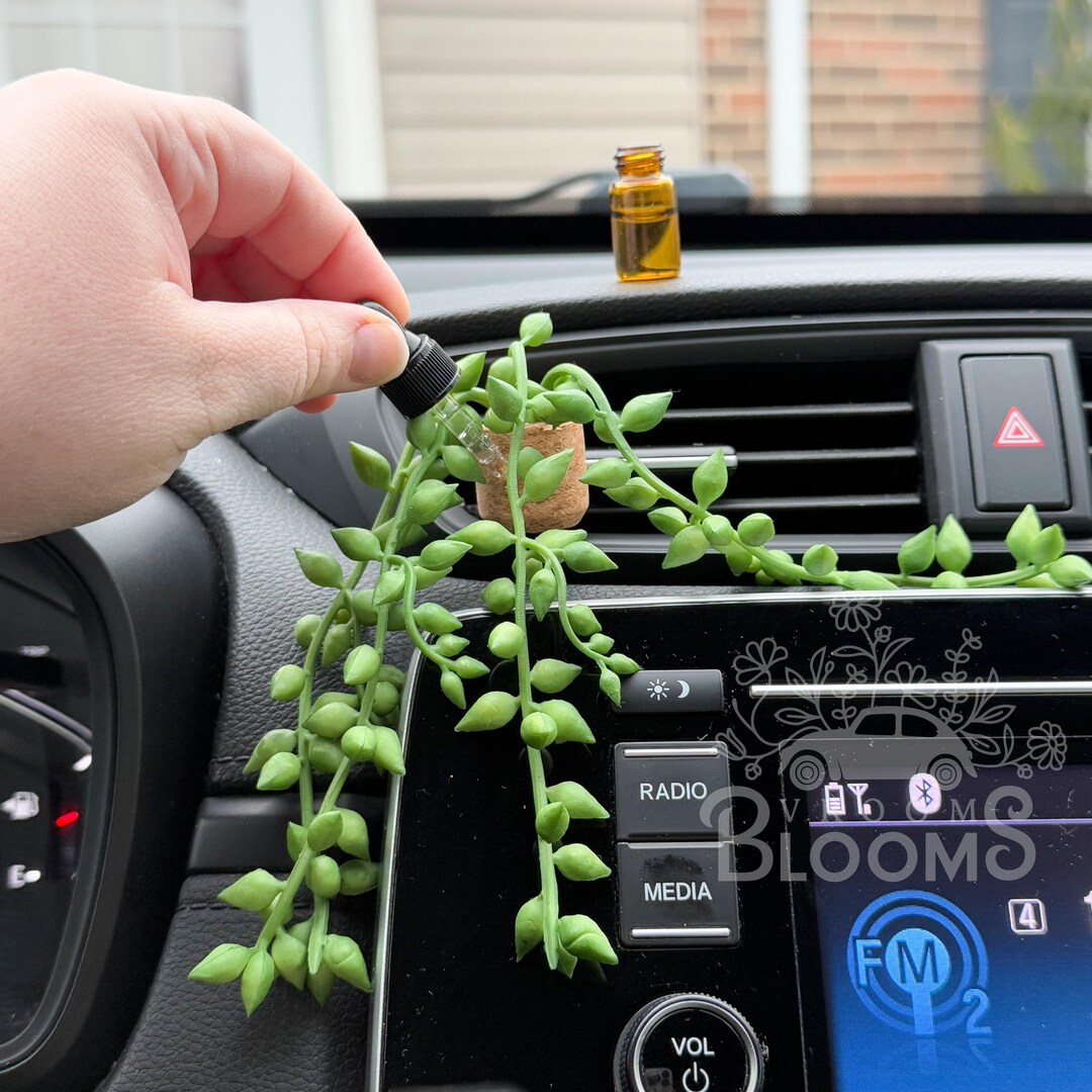 String of Pearls CAR AIR FRESHENER Plant Diffuser for Car | Car ...