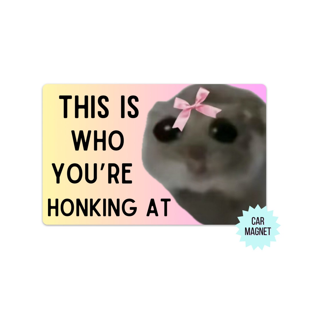 SAD HAMSTER Car Magnet | Bumper Magnet | Vinyl Car Magnet | Gen Z ...