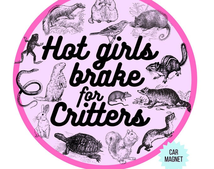 If Going the Speed Limit Makes You Angry Please Try Therapy Bumper ...