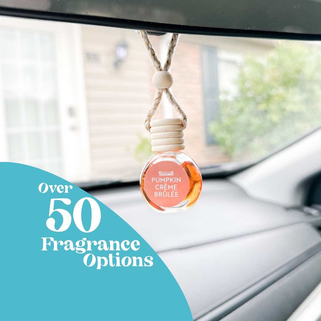 HANGING CAR FRESHENER Car Air Freshener Car Fragrance Diffuser Cute Car ...