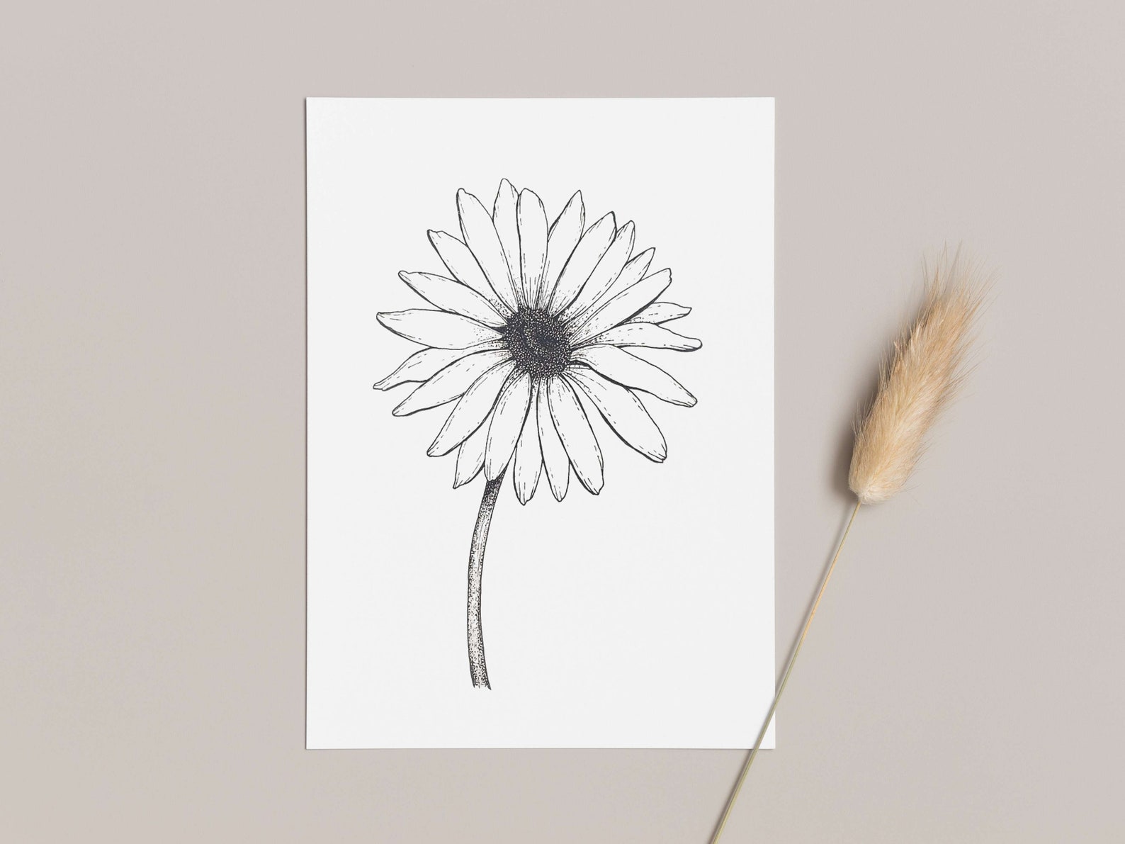 A5 Daisy Illustration Black and White Print Botanical Art - Etsy UK