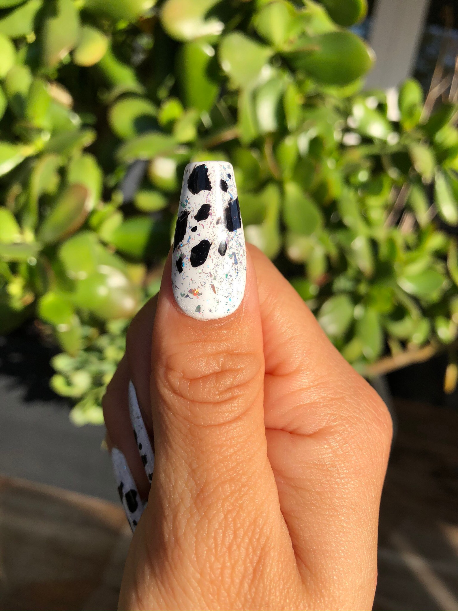 Cow Print Press on Nails With Holographic Flakes - Etsy