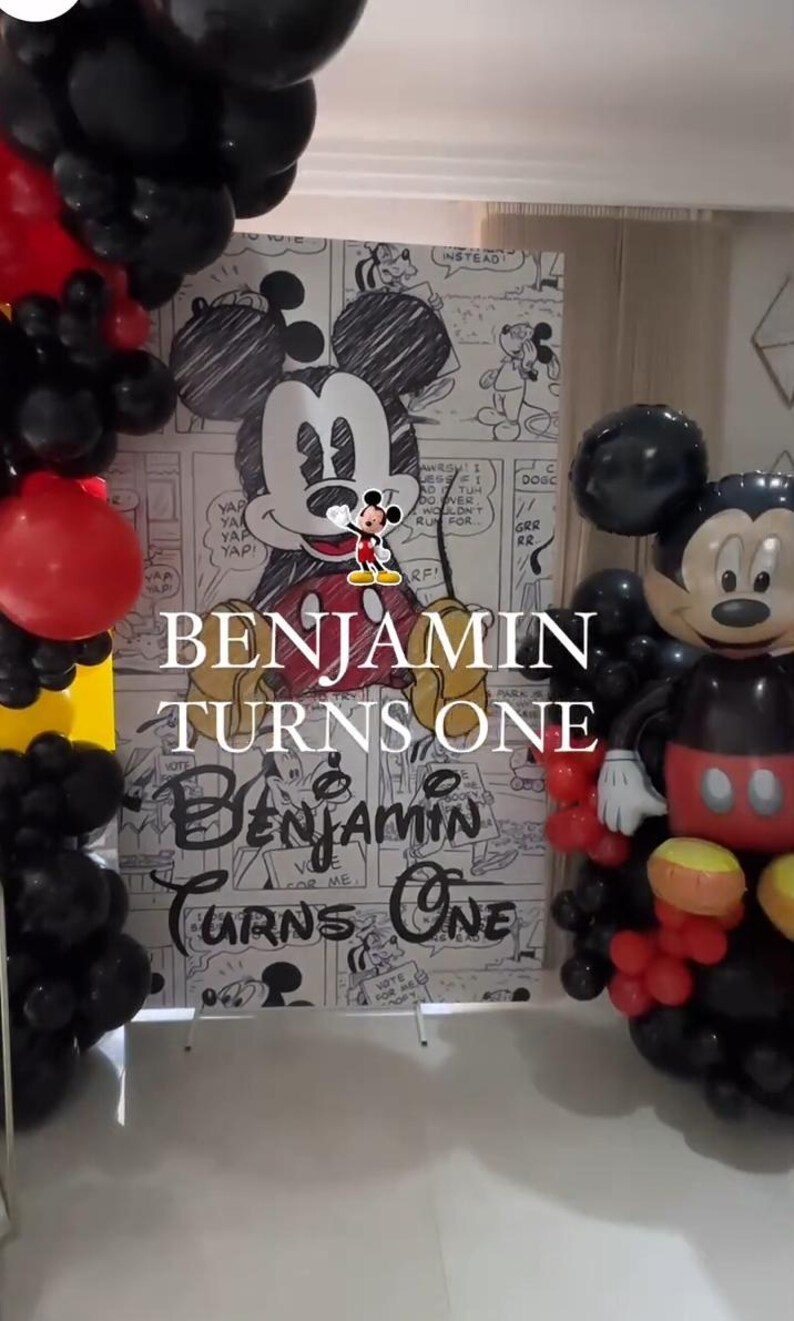 Mickey Birthday Backdrop, Party Birthday Decoration, Mickey Theme 48x84 ...