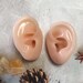 DIY Ears Silicone Mould,model Ear Displays for Acupuncture,prosthetic ...