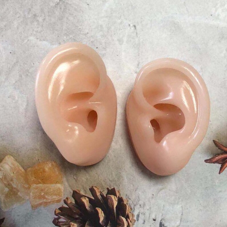 DIY Ears Silicone Mouldmodel Ear Displays for - Etsy