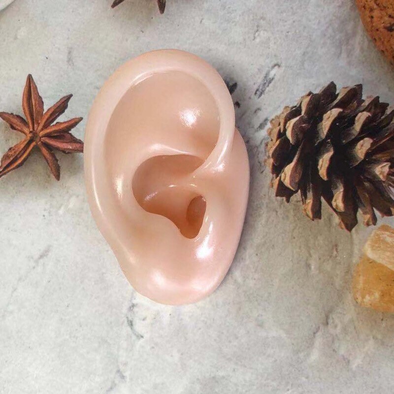 DIY Ears Silicone Mouldmodel Ear Displays for - Etsy