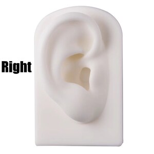 DIY Soft Ears Mould,ears Displays for Acupuncture,body Jewelry Ears ...