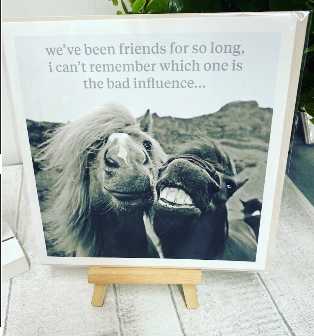 Funny Birthday Card ,animal Greeting Card, Horses ,guinea Pig,greeting ...