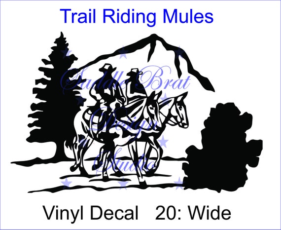 Mules Trail Riding Decal Choice of Size Trailer Decal Horse | Etsy