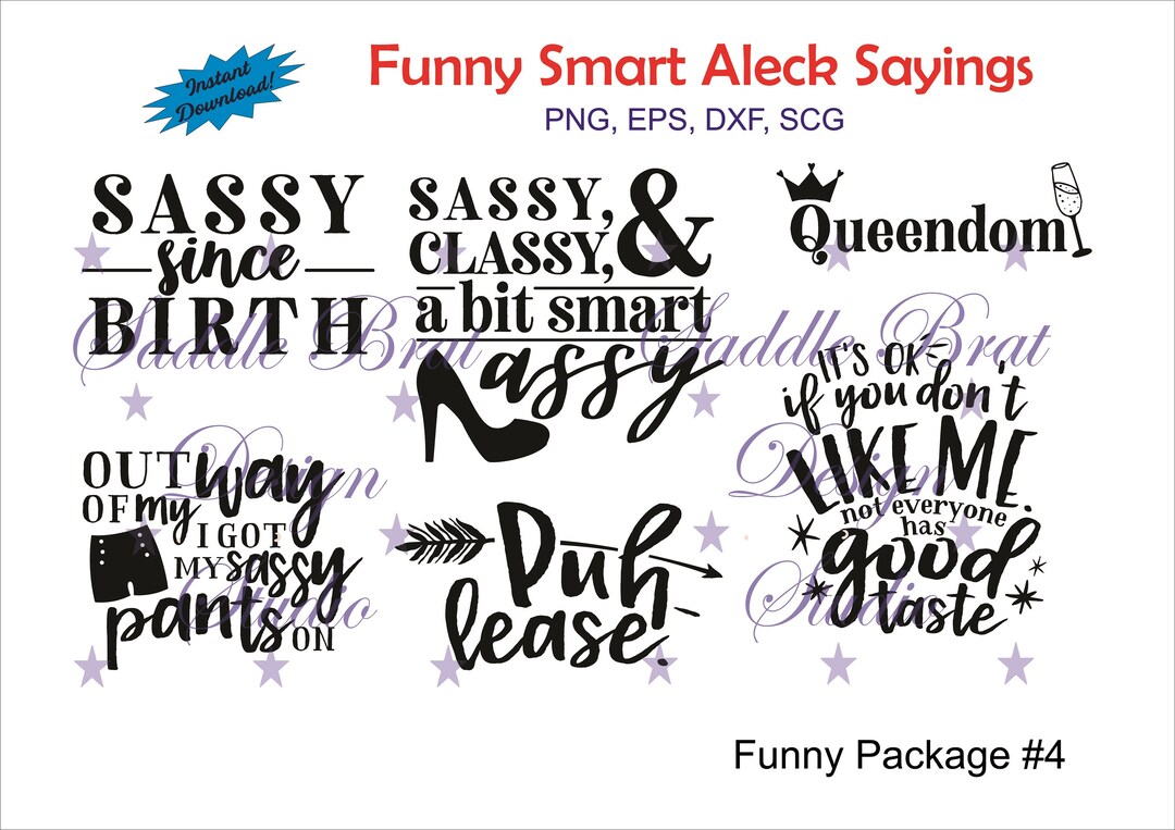 Smart Aleck Funny Sayings T Shirt Decal Package #5 - Etsy