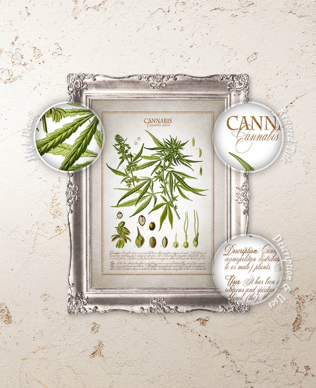 Cannabis Plant Print Printable Plant Stimulant Marijuana - Etsy