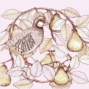 Red Legged Partridge Art Print, Home Decor, Wall Decoration, Gift ...