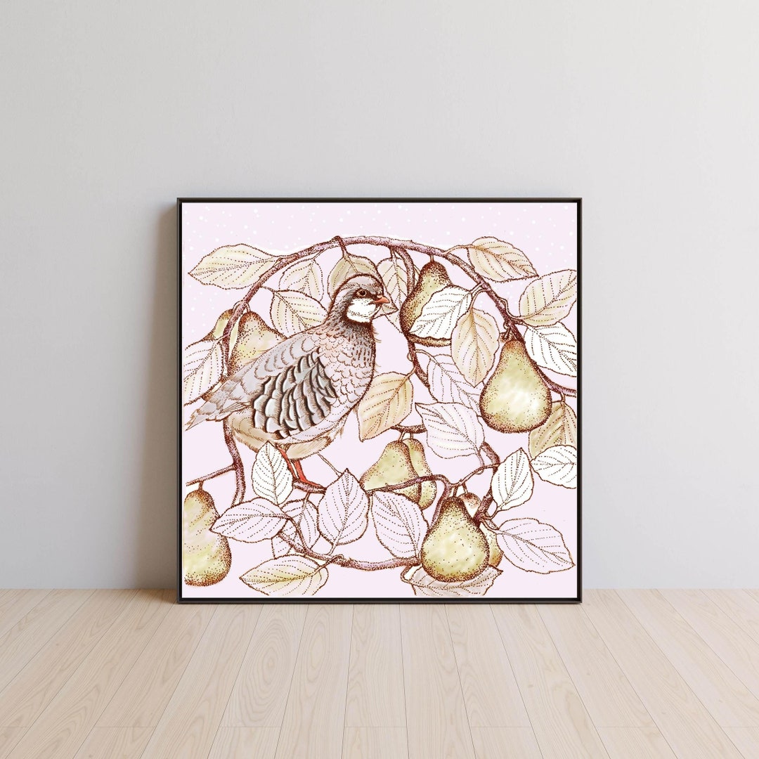 Red Legged Partridge Art Print, Home Decor, Wall Decoration, Gift ...