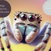PNG January Jumping Spider Digital Download for Limited Commercial Use ...