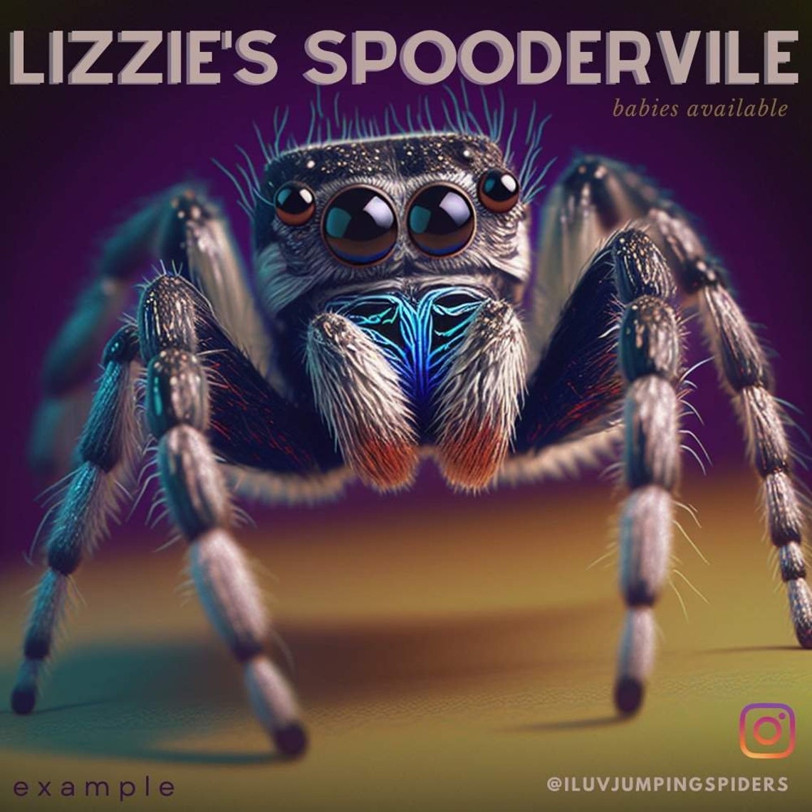 PNG Jumping Spider Digital Download for Limited Commercial Use, Pet ...