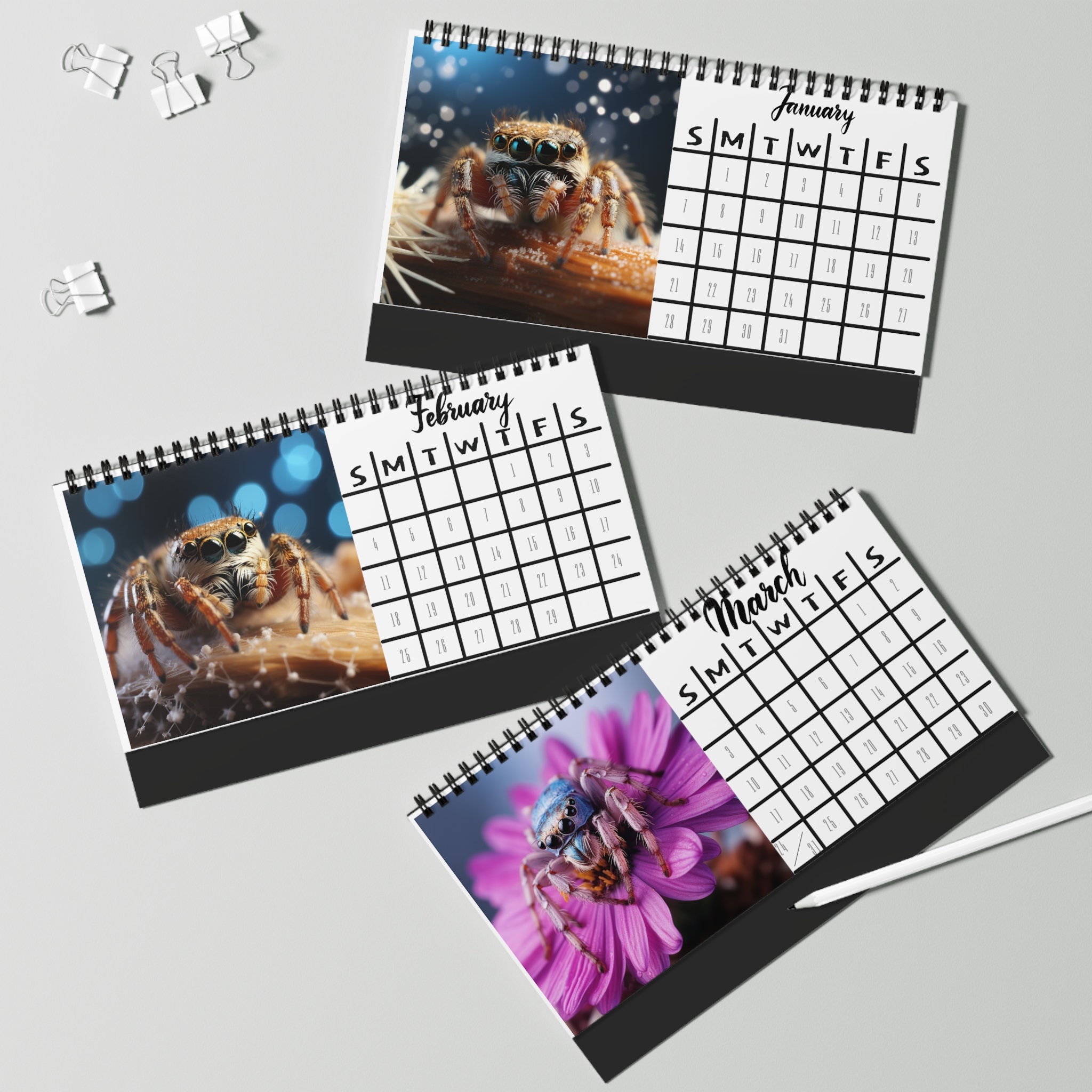 2024 Jumping Spider 10x5in Desk Calendar US, Cute Pet Spider Desk ...