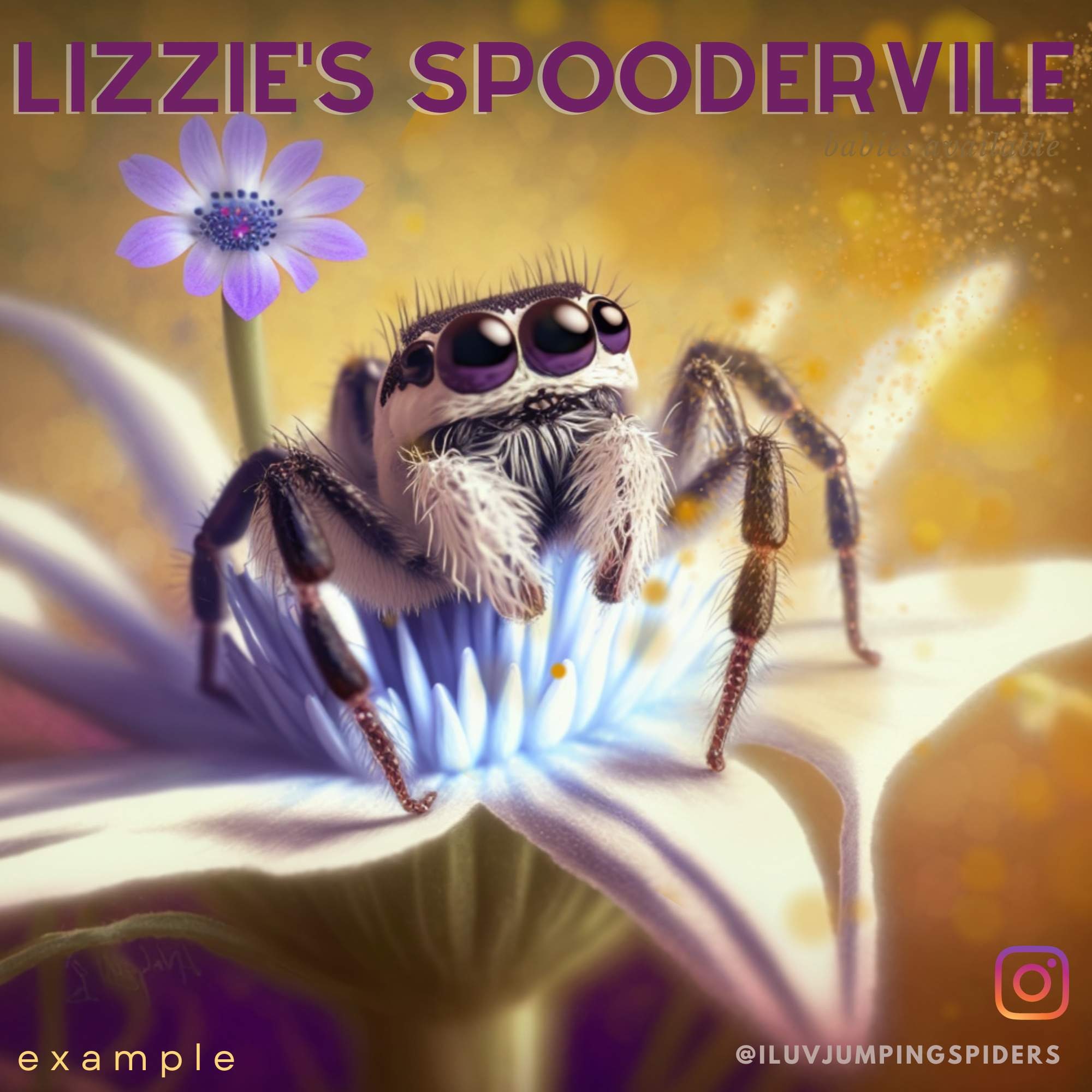 PNG Jumping Spider Coneflower Digital Download for Limited Commercial ...