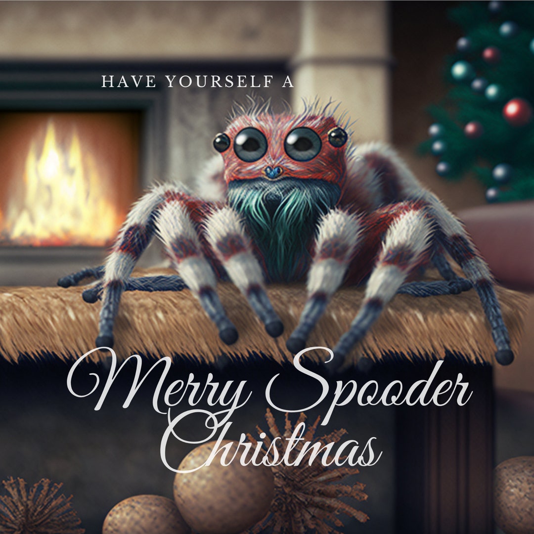 PNG Jumping Spider Digital Download for Limited Commercial Use, Pet ...
