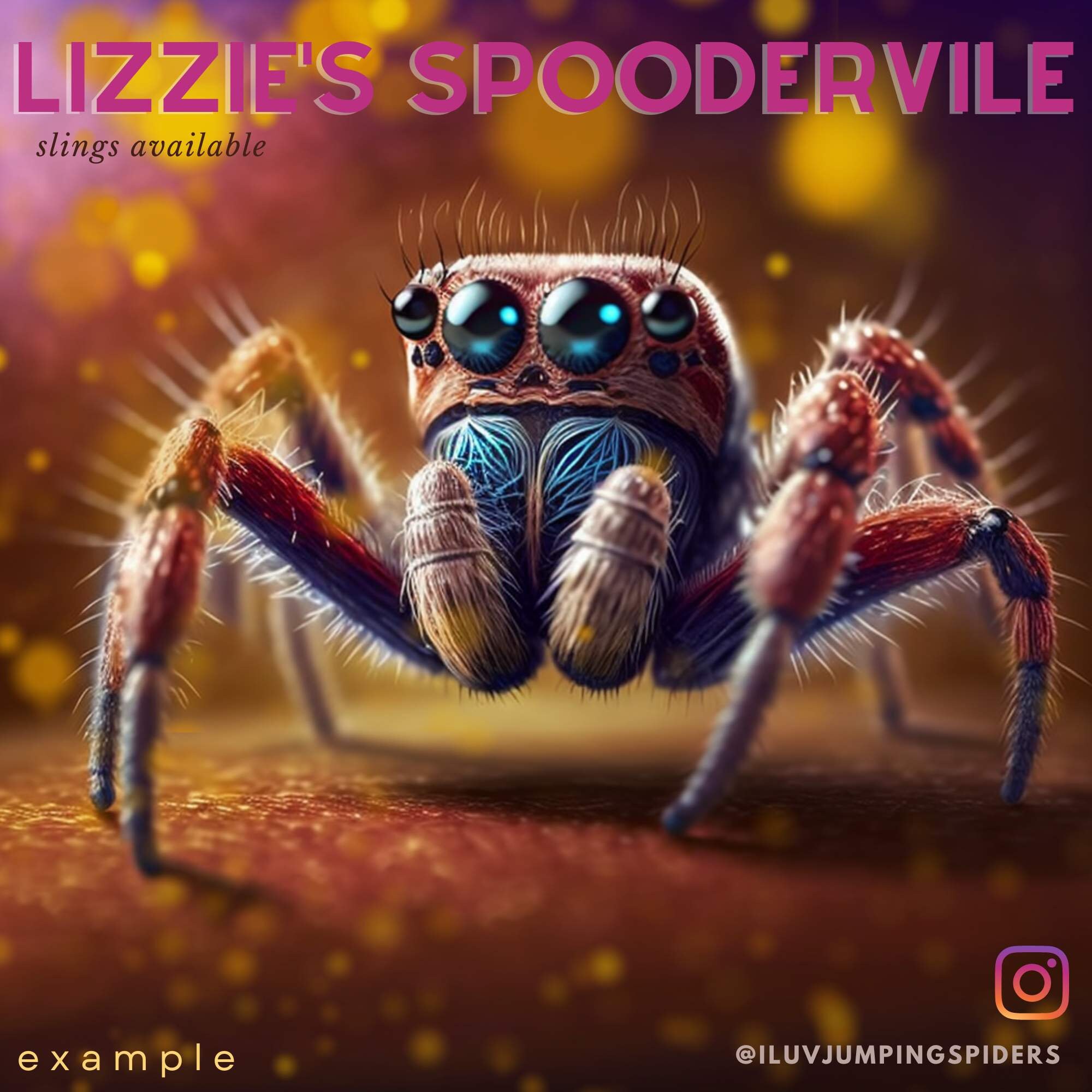 BUNDLE 4 PNG Jumping Spider Digital Downloads for Limited Commercial ...