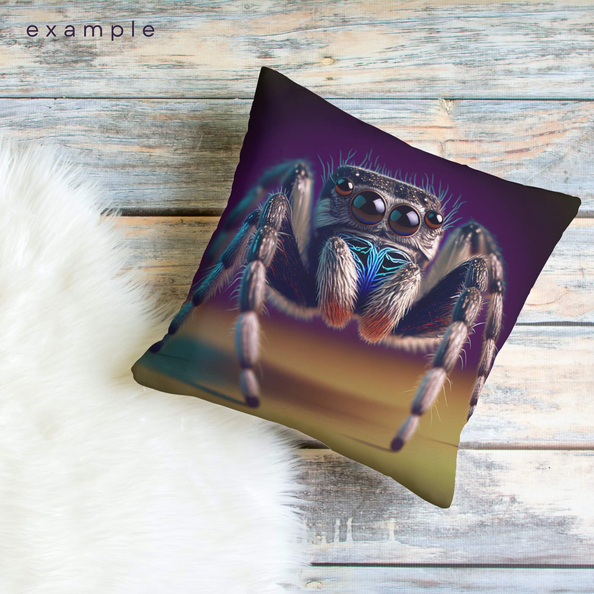 PNG Jumping Spider Digital Download for Limited Commercial Use, Pet ...