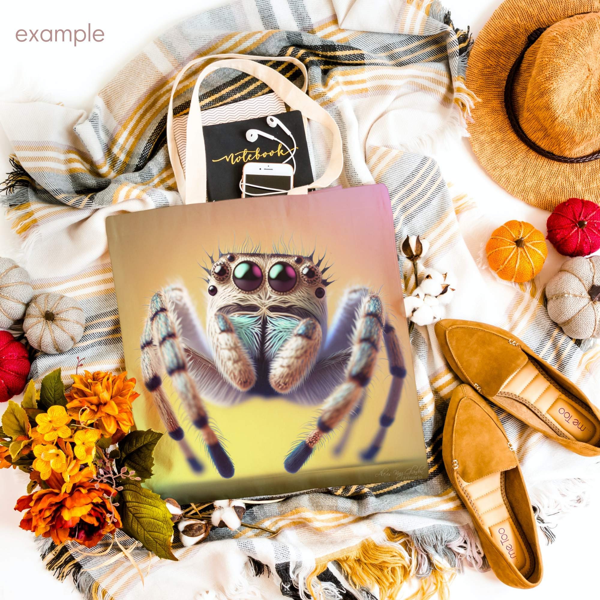 PNG January Jumping Spider Digital Download for Limited Commercial Use ...