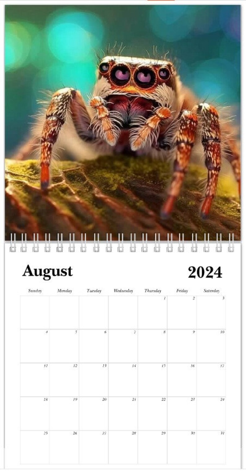 2024 Jumping Spiders 12x12in Wall Calendar, Full Size With Event Dates ...