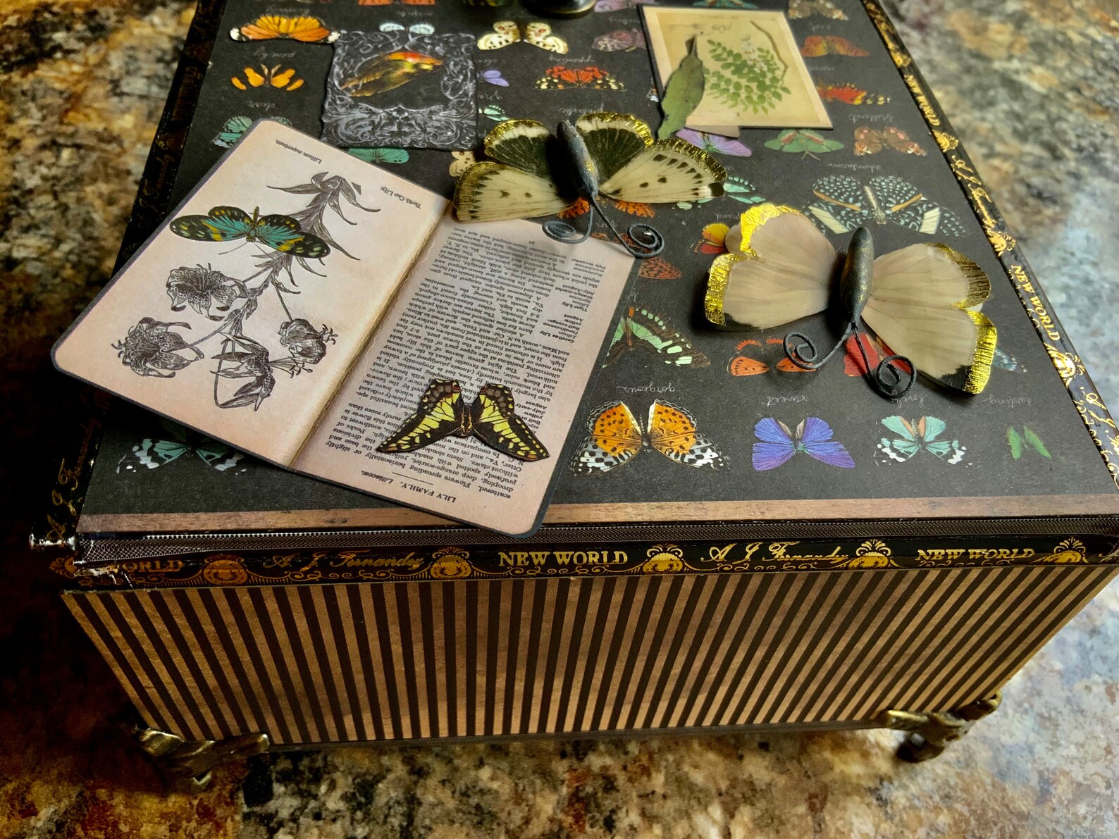 Botanical Decorative Boxbutterflys and Garden Theme - Etsy