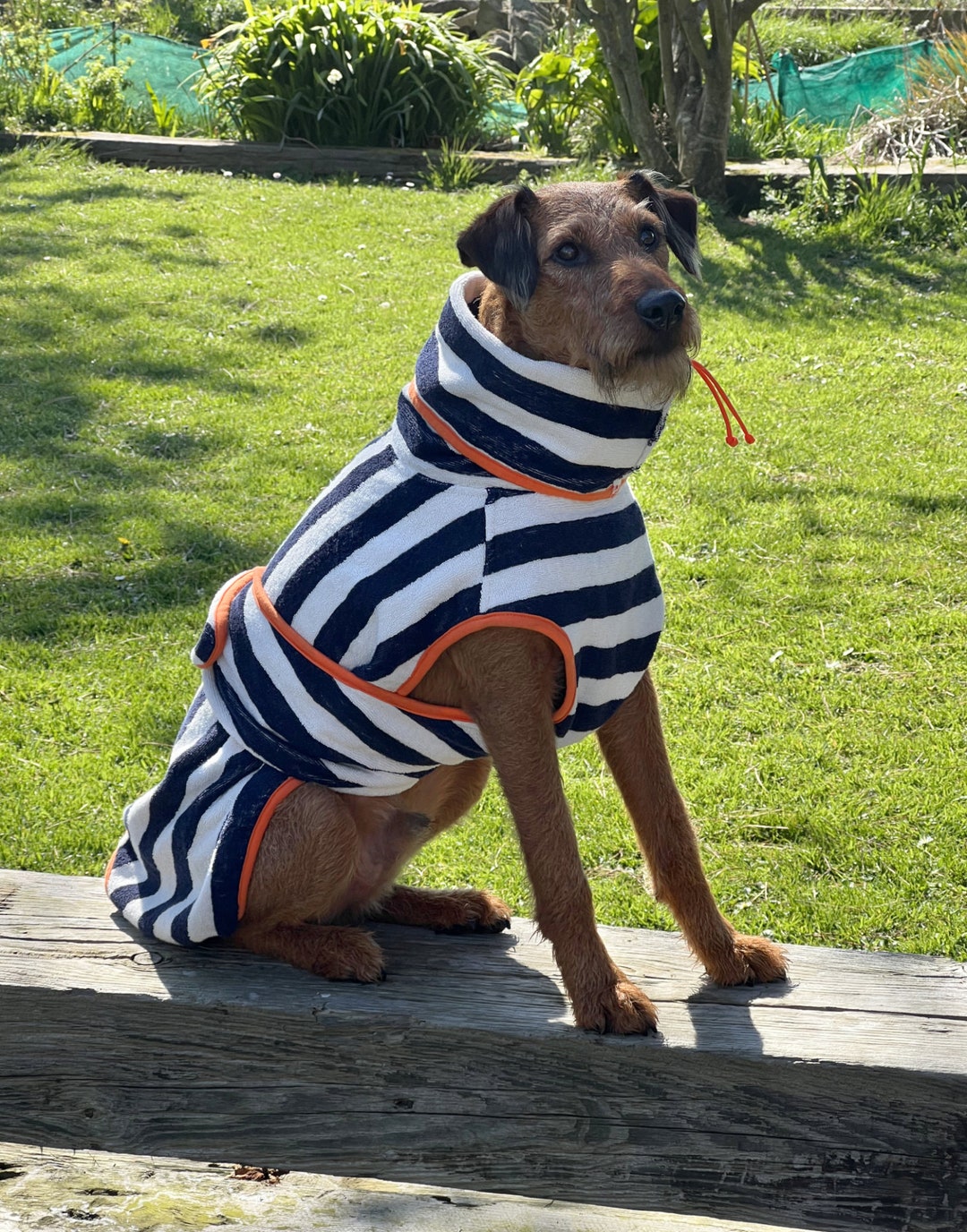 Harbour Hounds Navy/sea Salt Dog Drying Robe - Dog Drying Towel - Dog ...