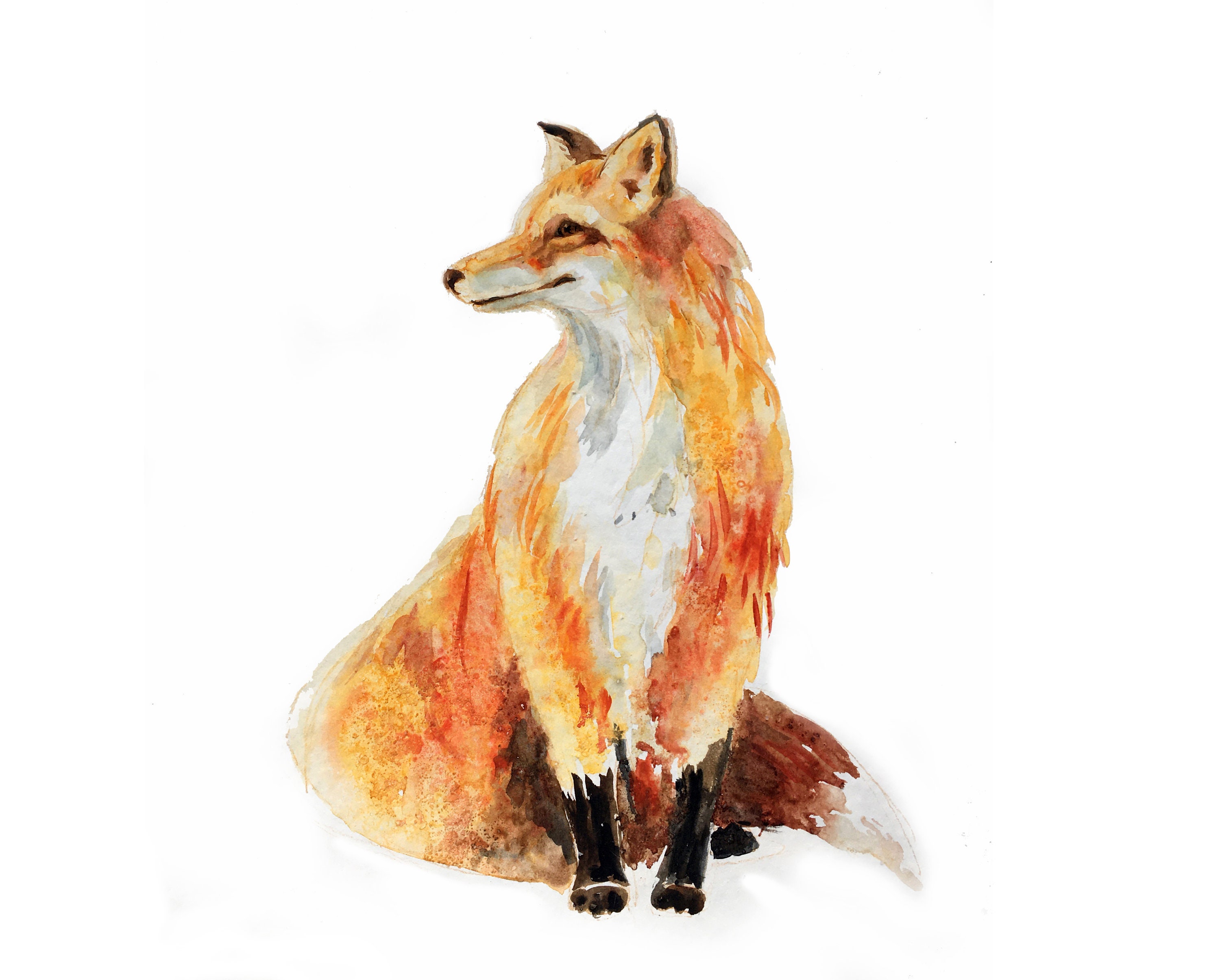 GEMÄLDE Original.Fuchs Malerei OriginalAquarell.Fuchs | Etsy