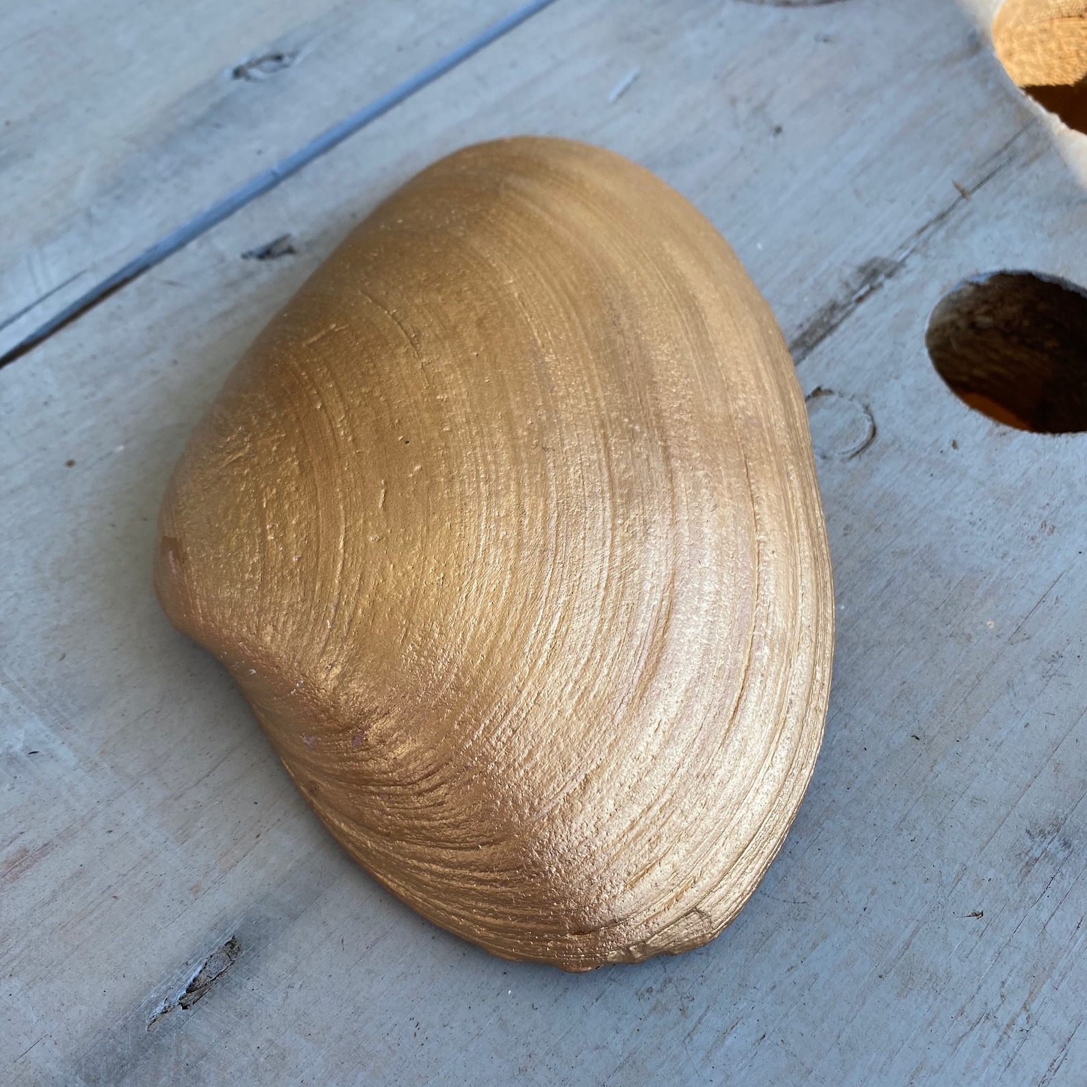 Decoupage Clam Shell, Music Notes Beach Decor, Handmade Ring Dish - Etsy