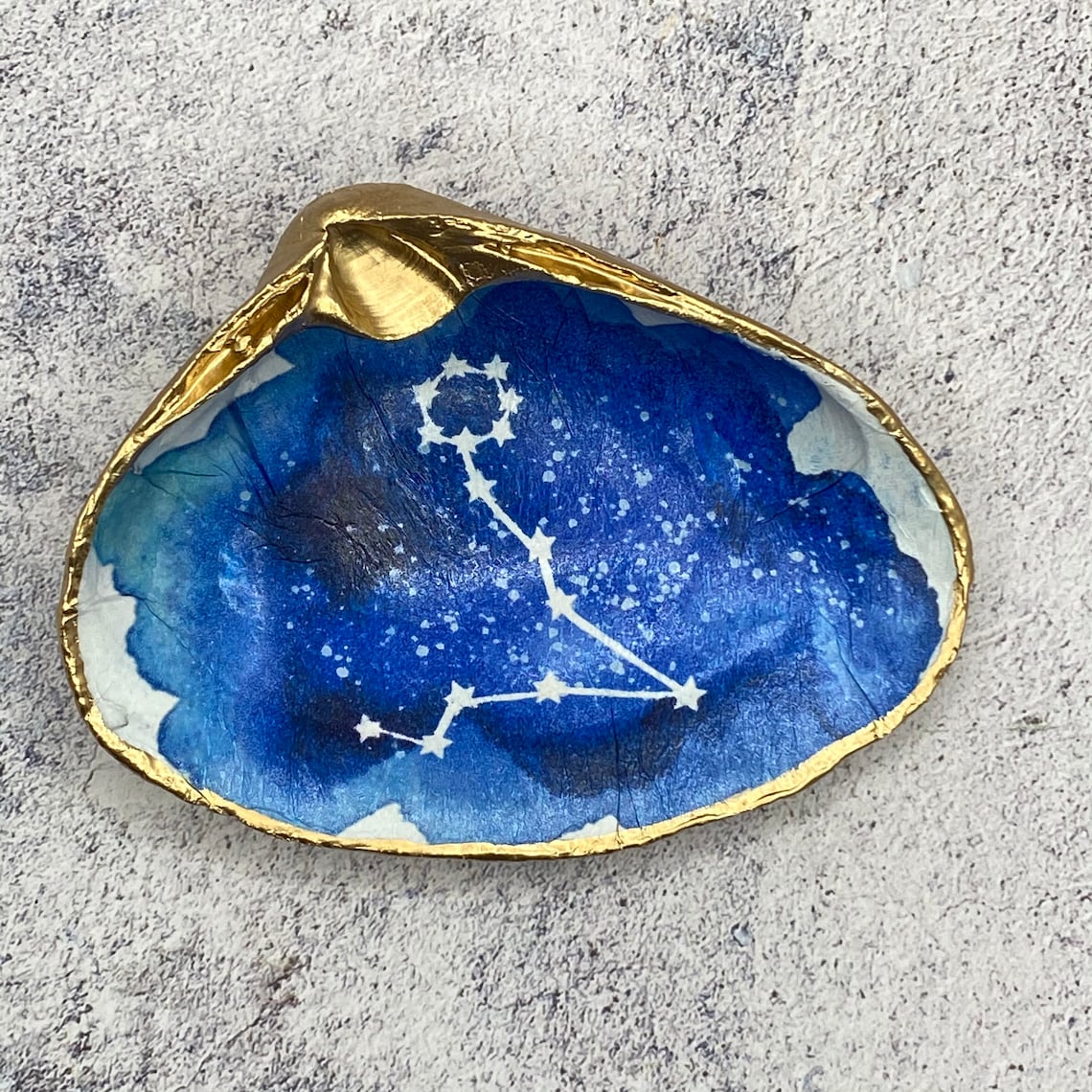 Decoupage Clam Shell Zodiac Celestial Beach Decor - Etsy
