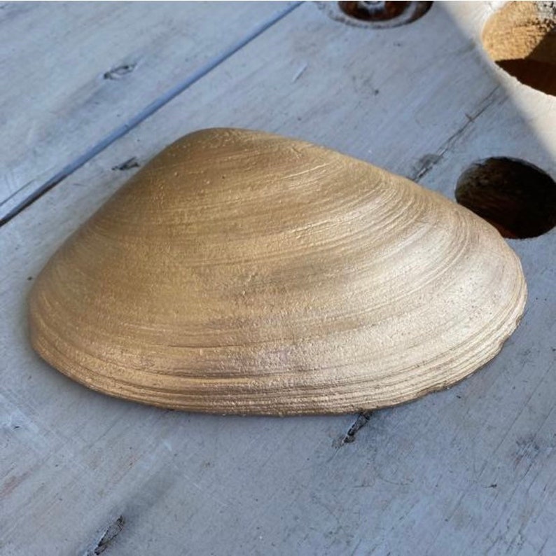 Decoupage Clam Shell Lemon Citrus Beach Decor Yellow and - Etsy