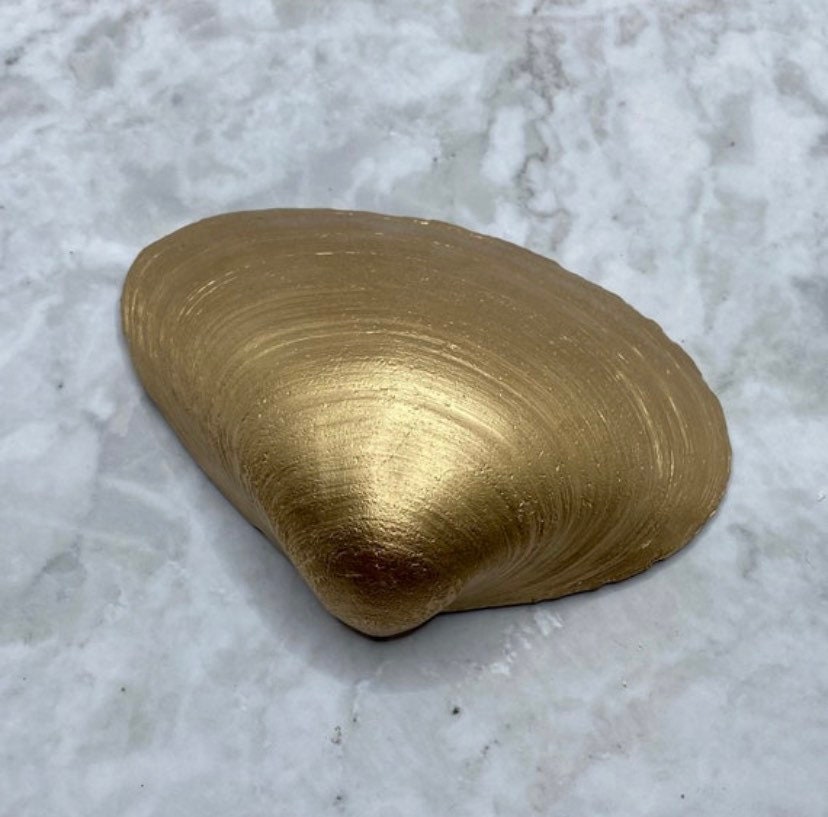 Decoupage Clam Shell Decor Greek Water Nymphs Goddess of the | Etsy