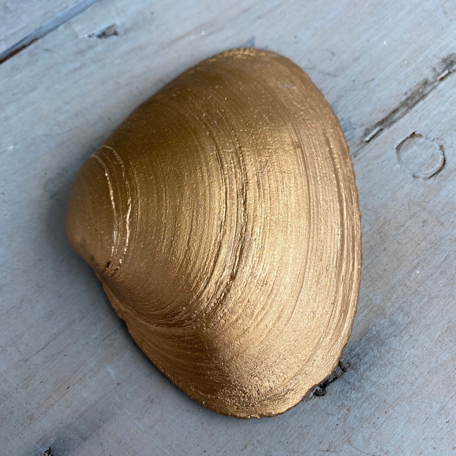 Decoupage Clam Shell Art Purple Tulip Decor Handmade Ring | Etsy