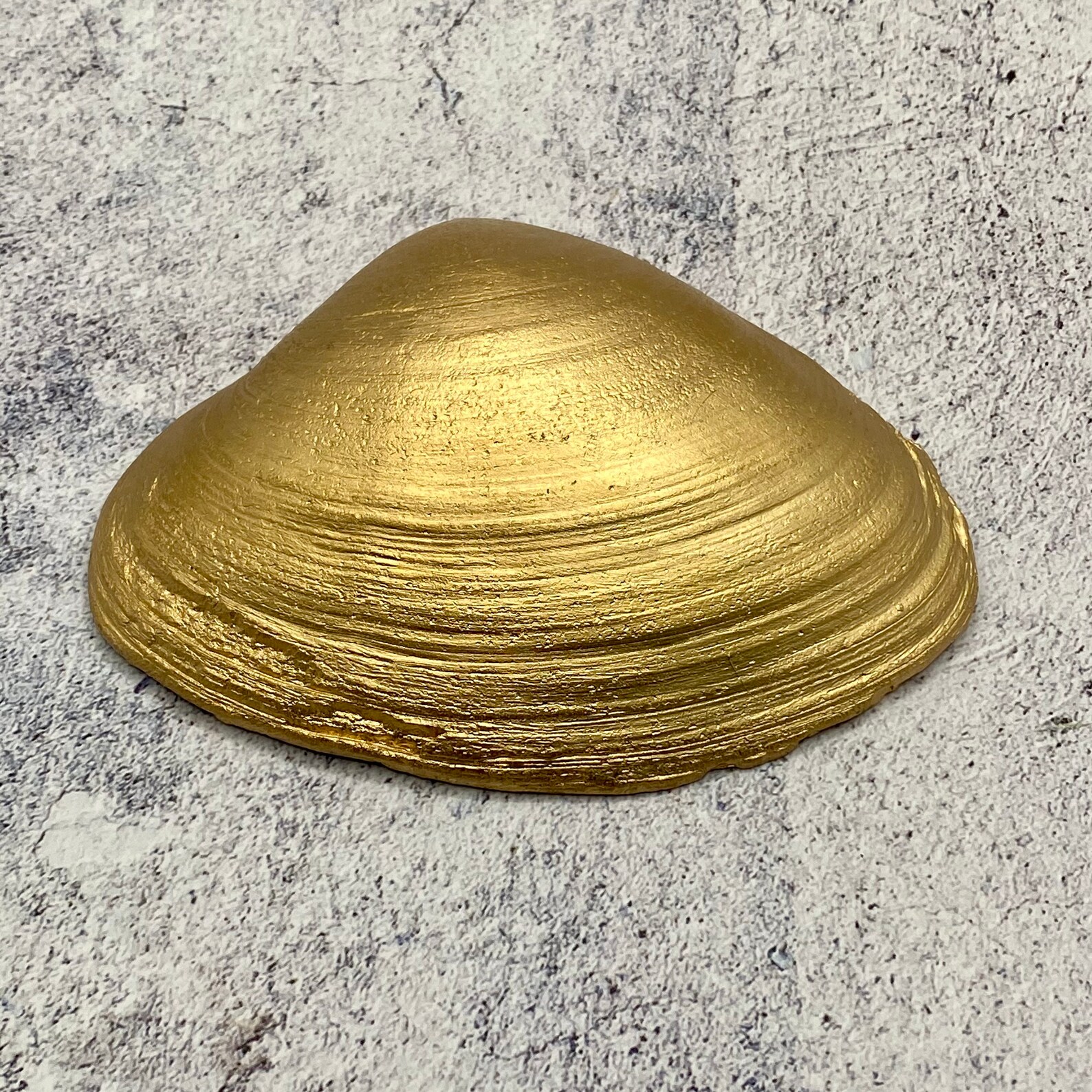 Decoupage Clam Shell Decor Circus Art Carnival Life Beach - Etsy