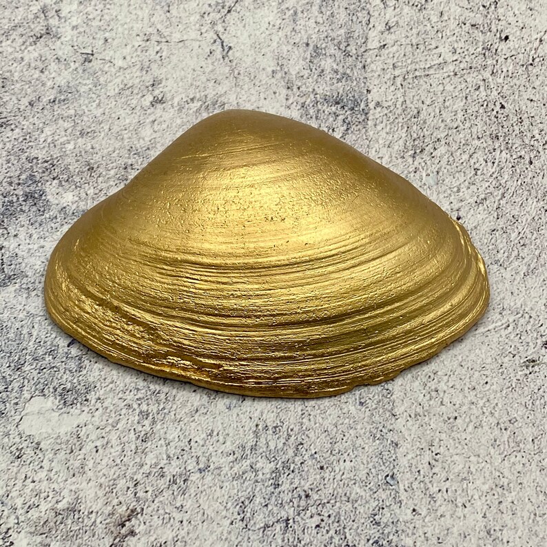 Decoupage Clam Shell Decor Mermaid Wave Art Handmade Ring - Etsy