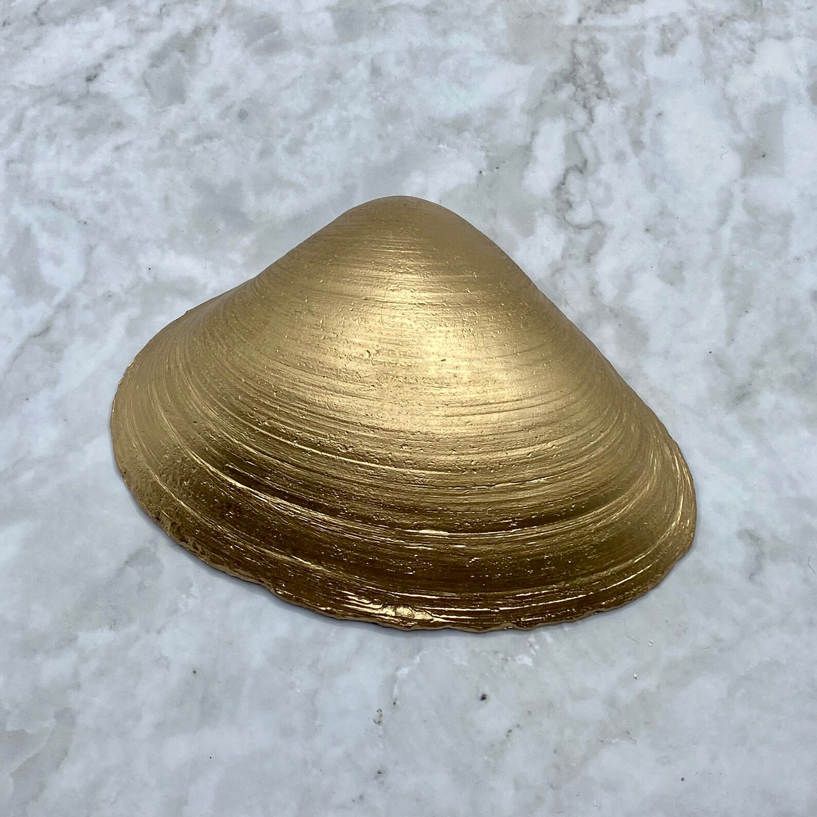 Decoupage Clam Shell Decor Art Deco Mermaid Blue and Green | Etsy